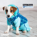 Paw Print Genetics - The Definitive Resource for Canine Genetic Health